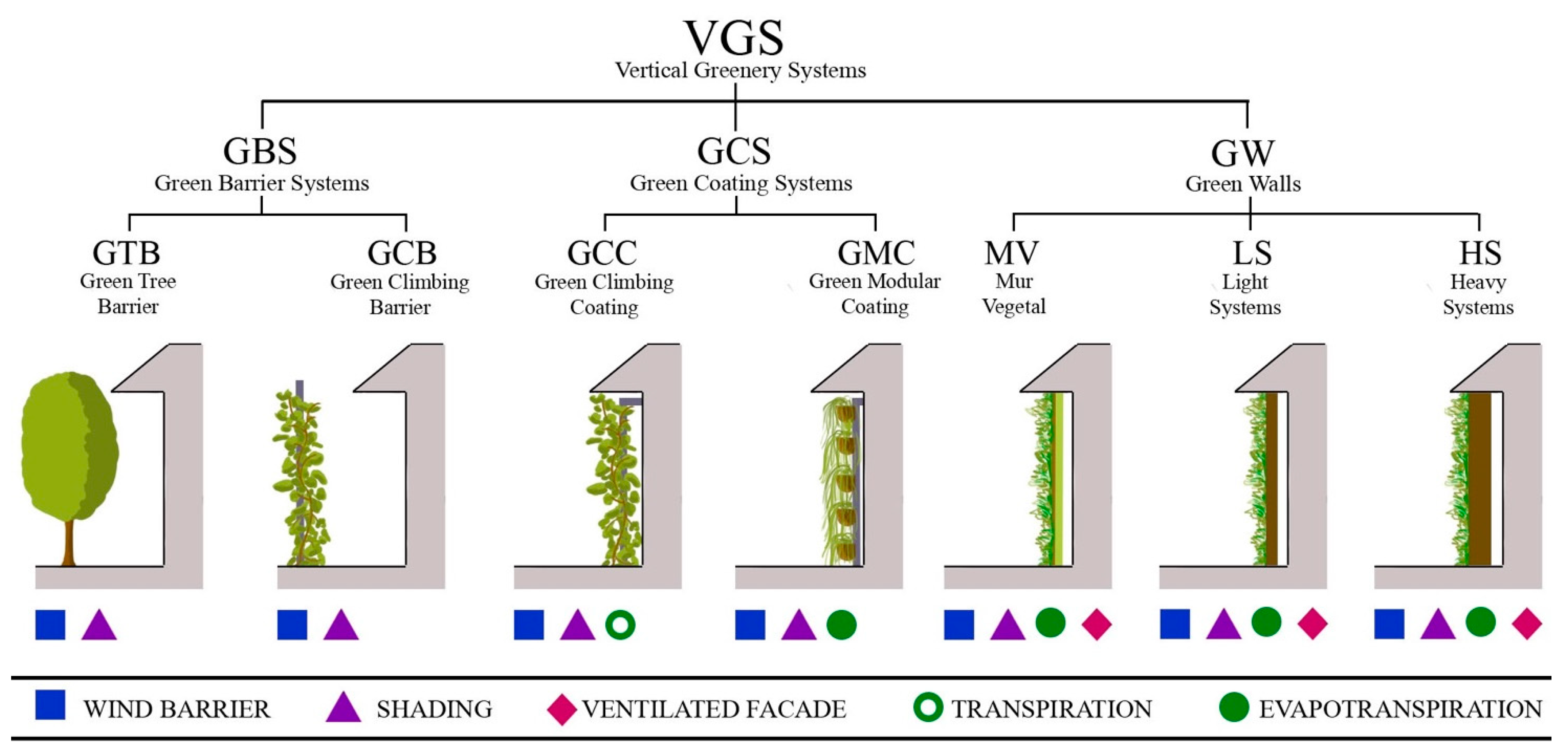 Simulating and Comparing Different Vertical Greenery Systems Grouped ...