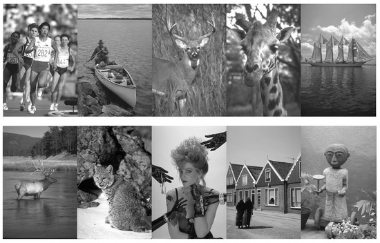 Image Denoising Using a Novel Deep Generative Network with Multiple Target Images and Adaptive ...