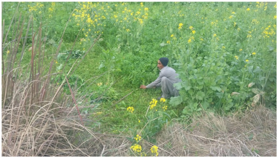 Post-Flood Risk Management and Resilience Building Practices: A Case Study