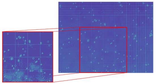 Applied Sciences | Free Full-Text | Deep Learning and Transfer Learning ...