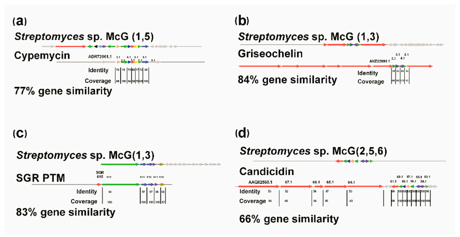 Streptomyces Isolates from the Soil of an Ancient Irish Cure Site ...