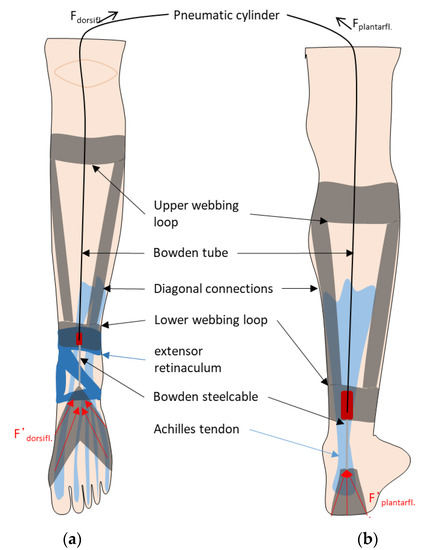 Development and Preliminary Evaluation of a Lower Body Exosuit to ...