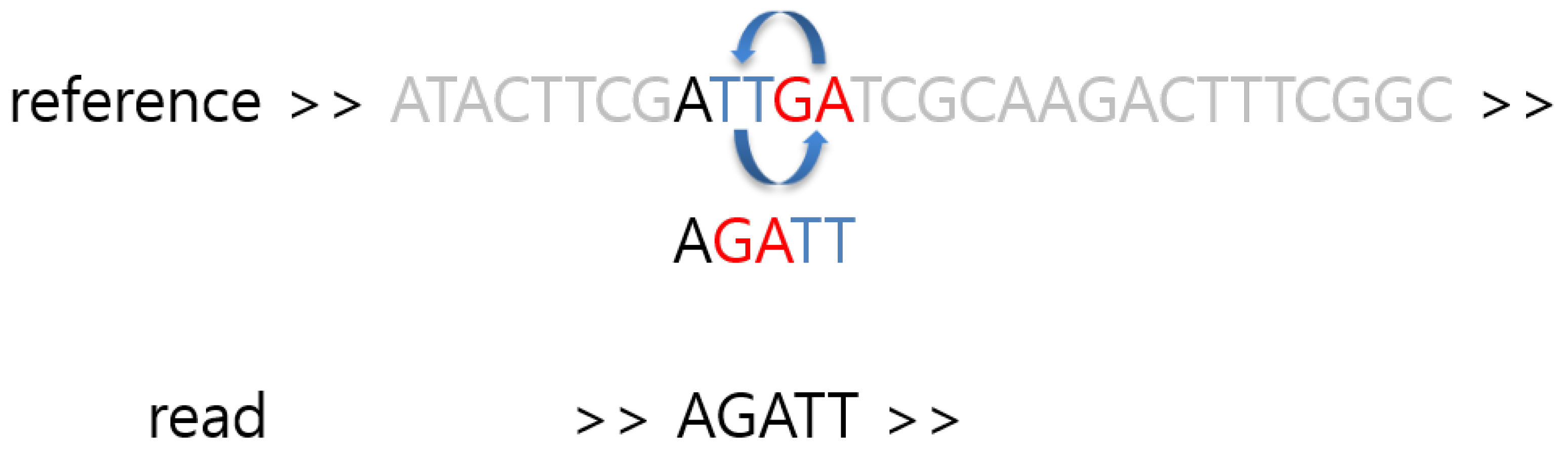 Reference Mapping Considering Swaps of Adjacent Bases