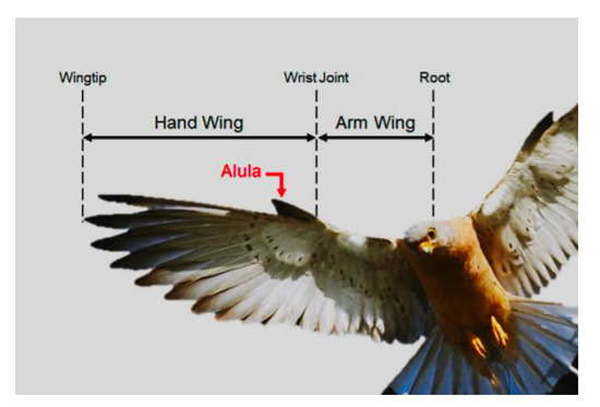 Applied Sciences | Free Full-Text | State of the Art Review about Bio ...