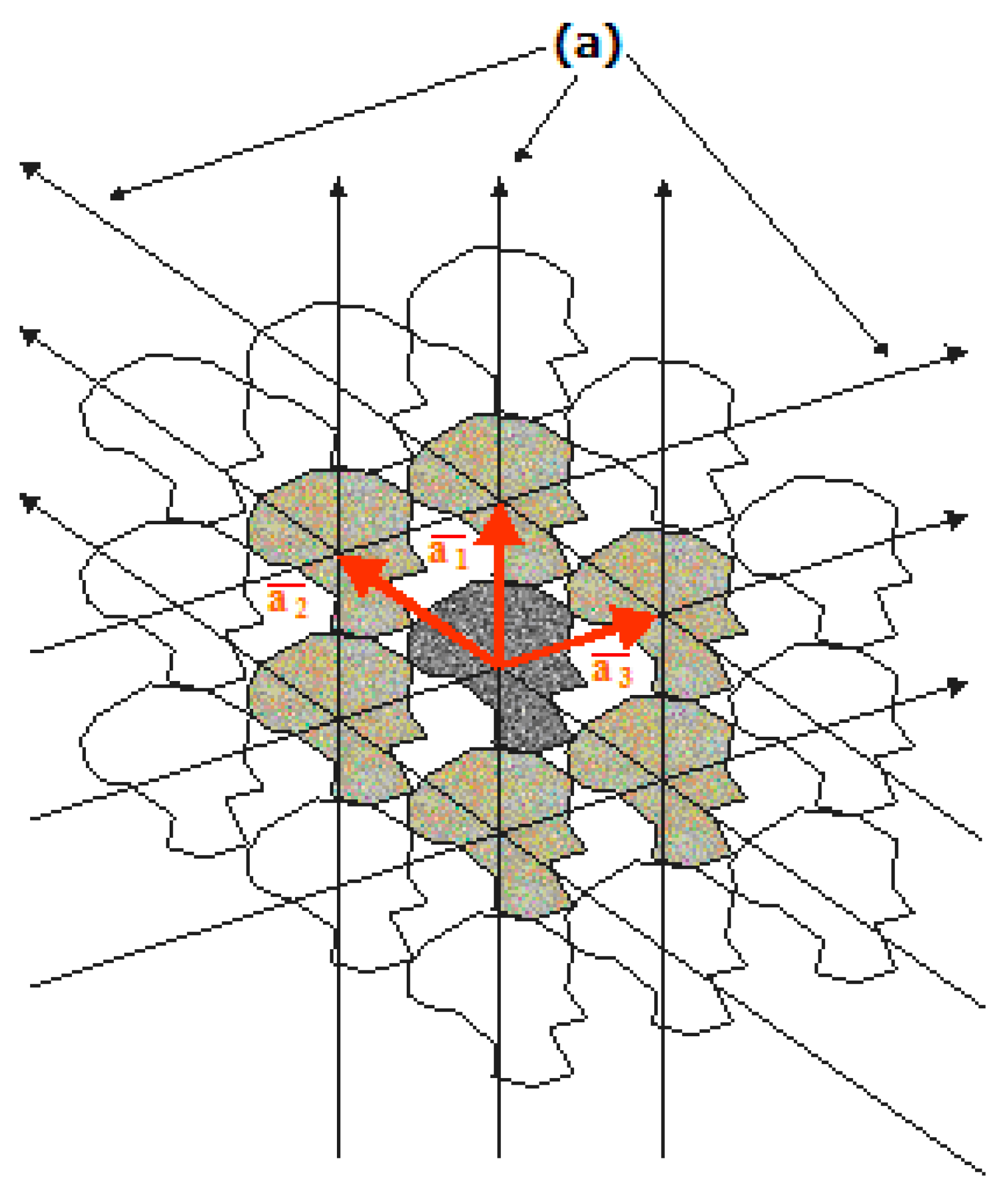 Applied Sciences | Free Full-Text | Regular Two-Dimensional Packing of ...