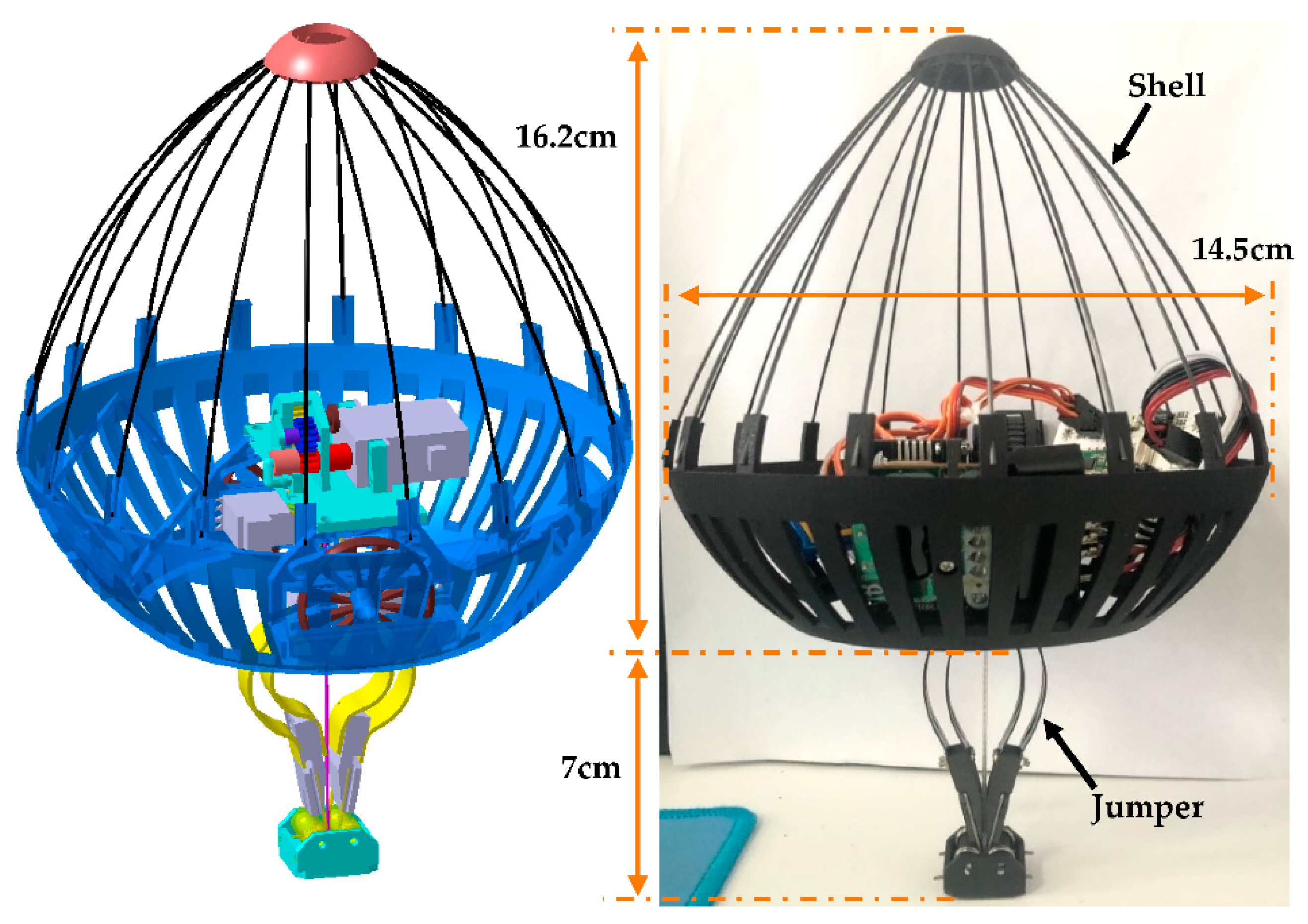 A Biologically Inspired Height-Adjustable Jumping Robot
