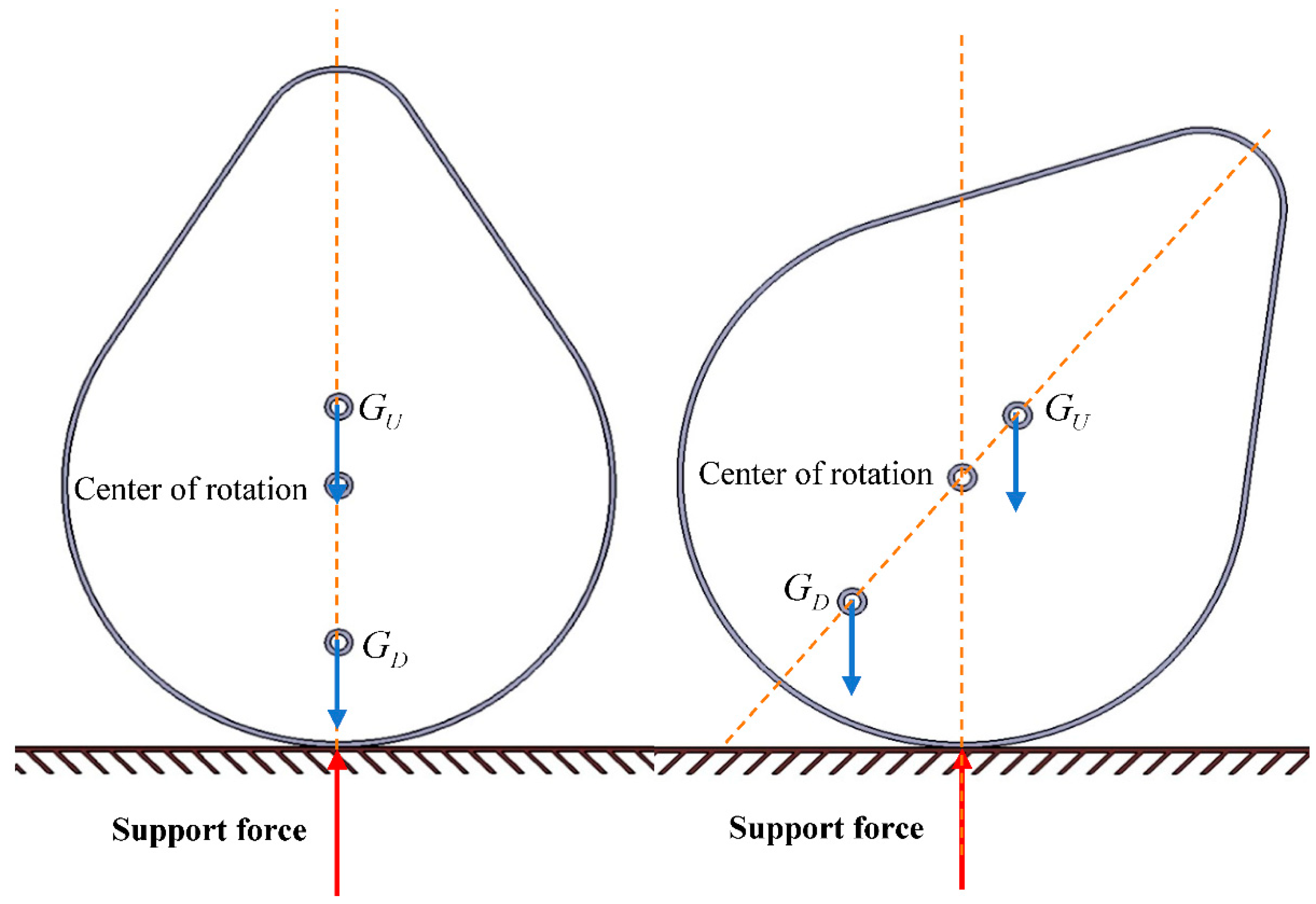 A Biologically Inspired Height-Adjustable Jumping Robot