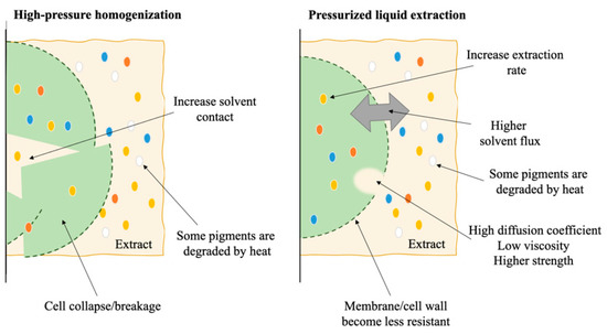 Extraction of Pigments from Microalgae and Cyanobacteria—A Review on ...