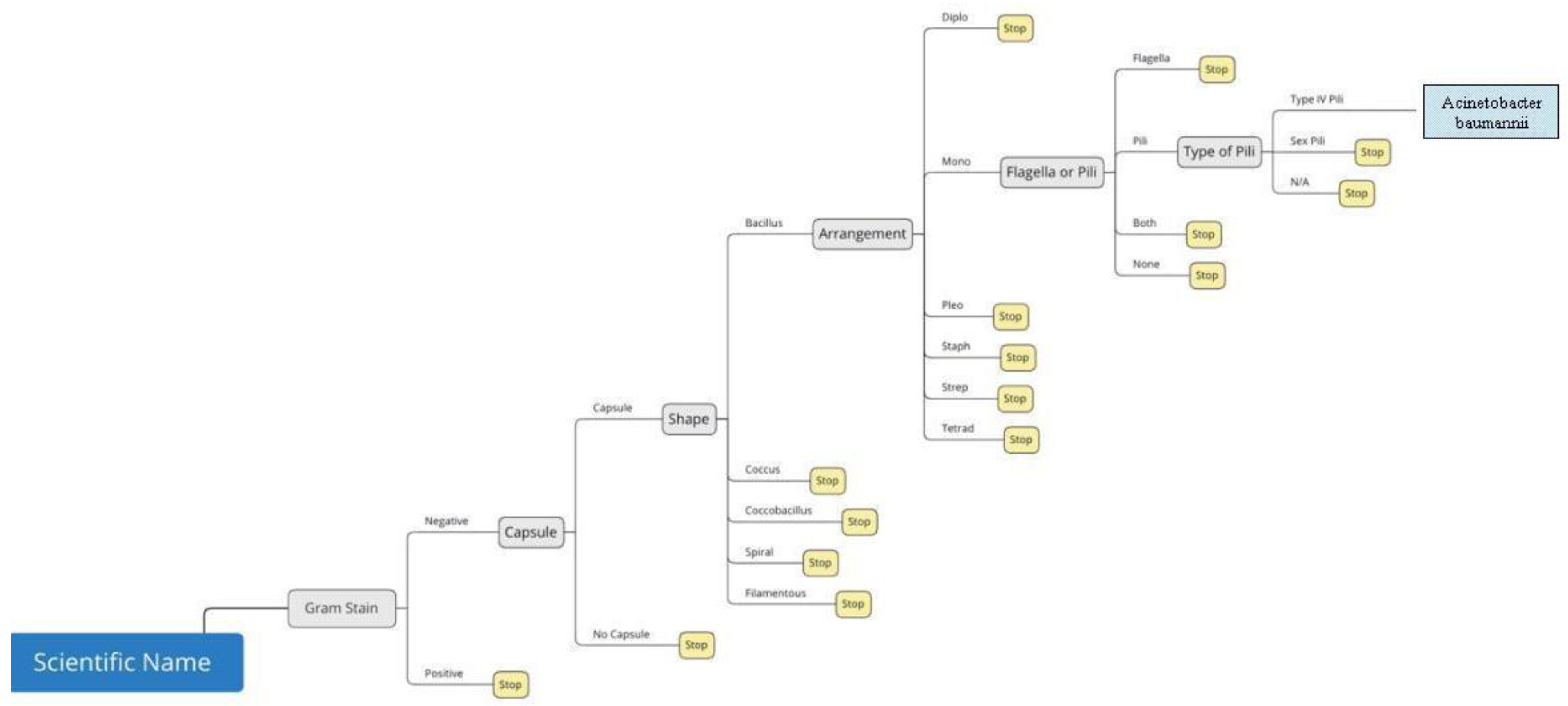 A Pandemic Early Warning System Decision Analysis Concept Utilizing a ...