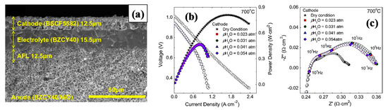 Applied Sciences | Free Full-Text | Perspectives on Cathodes for ...
