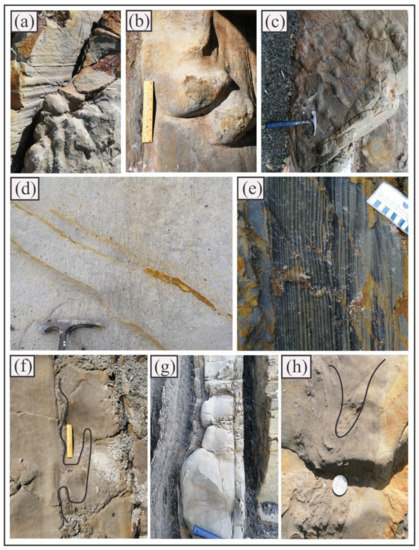 Facies Heterogeneity and Lobe Facies Multiscale Analysis of Deep-Marine ...