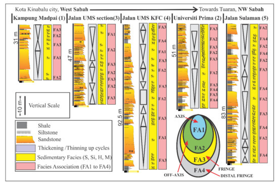 Facies Heterogeneity and Lobe Facies Multiscale Analysis of Deep-Marine ...