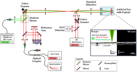 Dynamic OCT Signal Loss for Determining RPE Radiant Exposure Damage ...