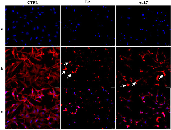 Applied Sciences | Editor's choice