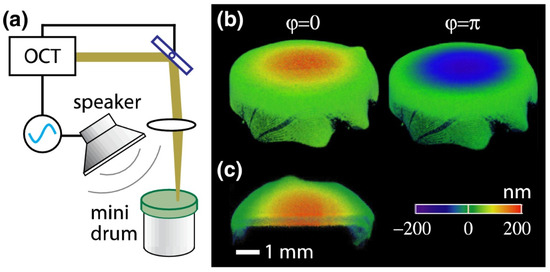 Doppler Optical Coherence Tomography for Otology Applications: From ...