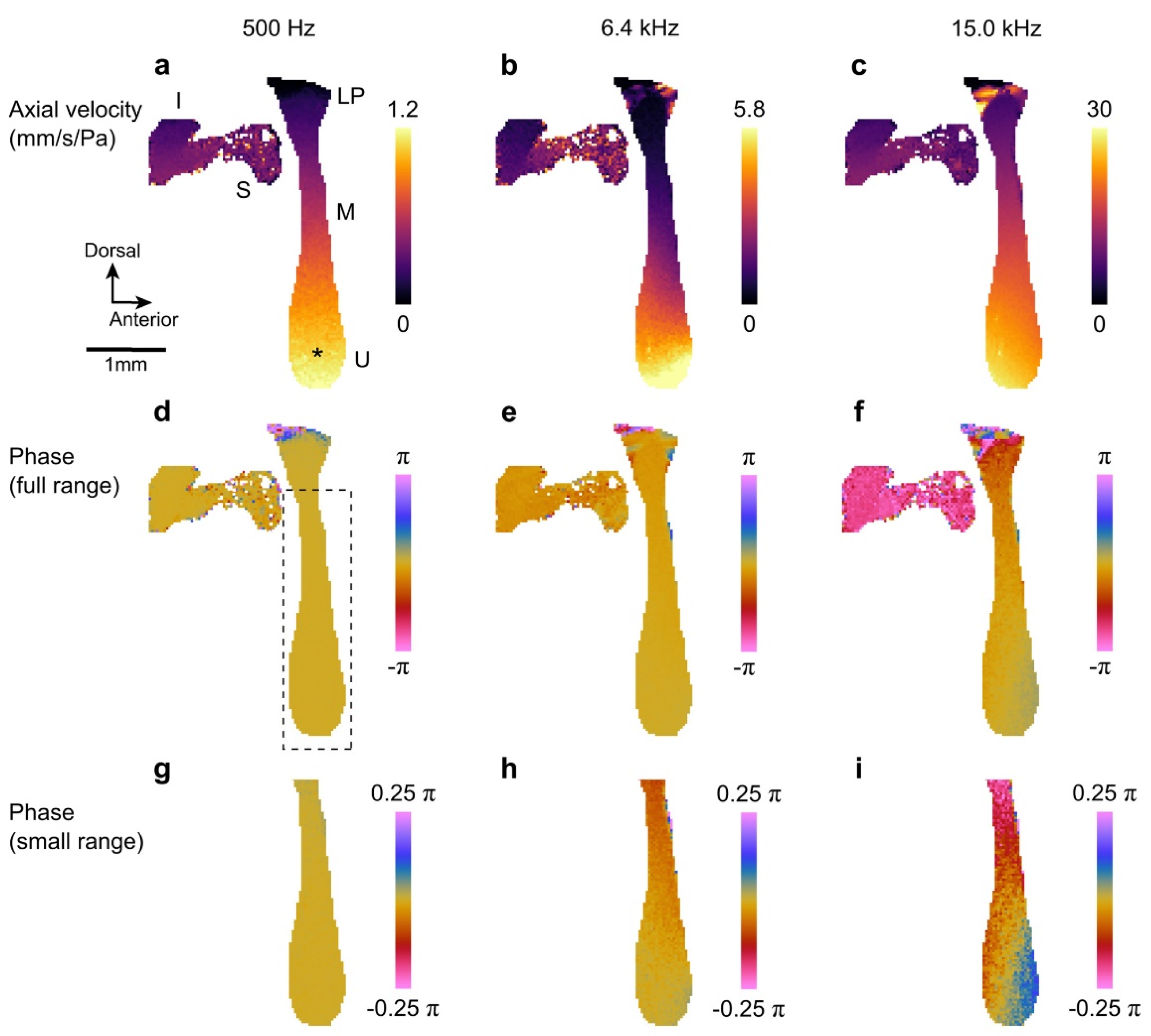 Doppler Optical Coherence Tomography for Otology Applications: From ...