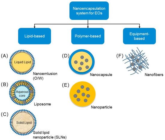 Nanoencapsulation of Essential Oils as Natural Food Antimicrobial Agents: An Overview