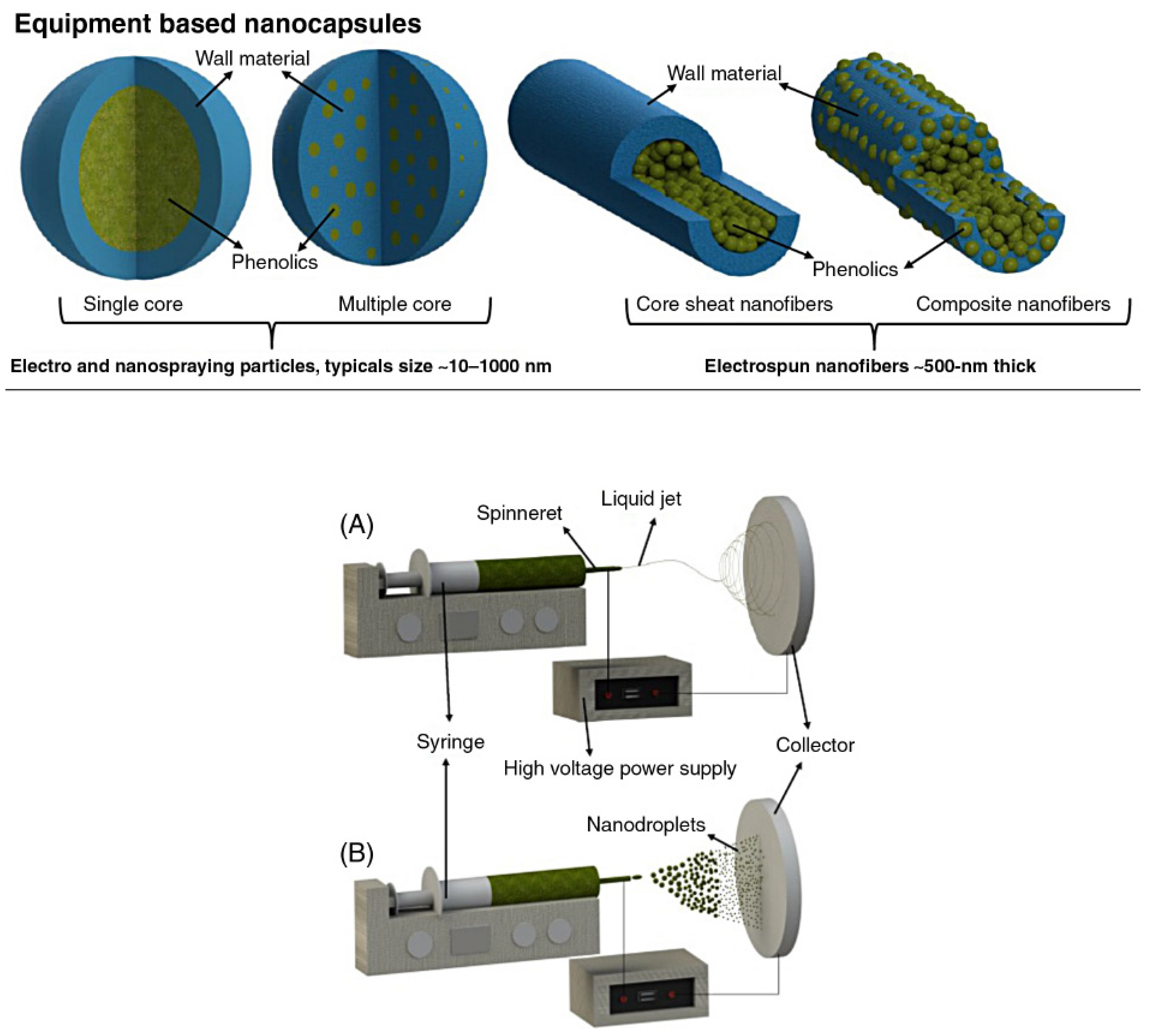 Nanoencapsulation of Essential Oils as Natural Food Antimicrobial Agents: An Overview