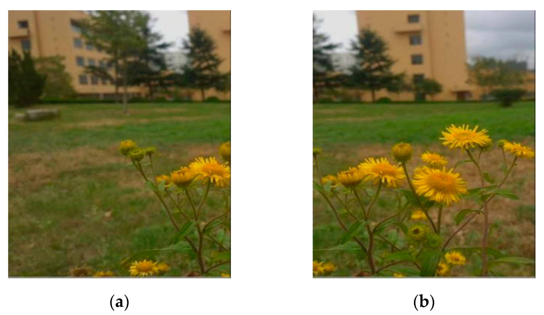 Underwater Image Mosaic Algorithm Based on Improved Image Registration