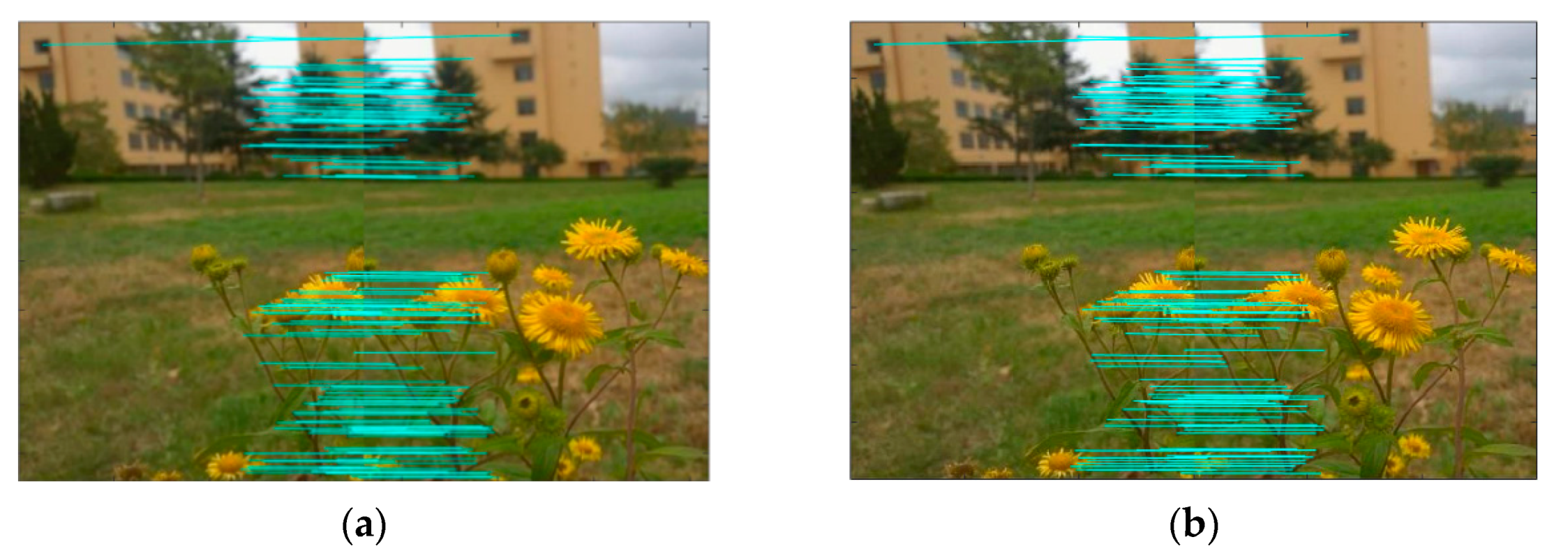 Underwater Image Mosaic Algorithm Based on Improved Image Registration