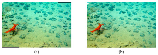 Applied Sciences | Free Full-Text | Underwater Image Mosaic Algorithm Based on Improved Image ...