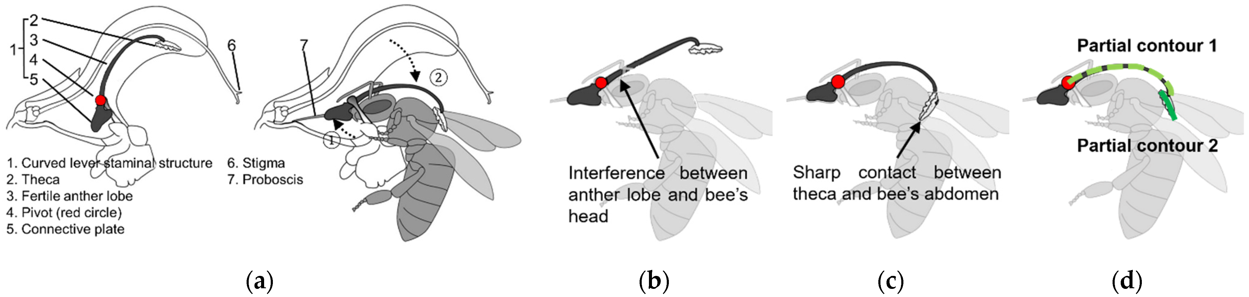 Bioinspired Divide-and-Conquer Design Methodology for a Multifunctional ...