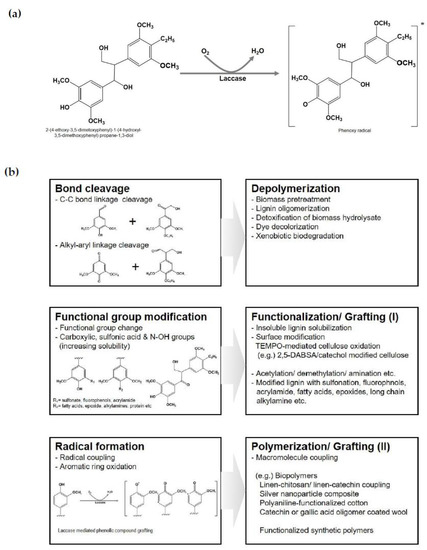 Mushroom Ligninolytic Enzymes―Features and Application of Potential ...