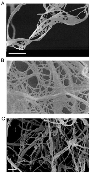 Applied Sciences | Free Full-Text | Production of Microfibrillated ...