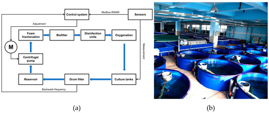 Design of an Intelligent Variable-Flow Recirculating Aquaculture System ...