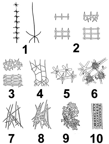 Silicon Compounds in Sponges