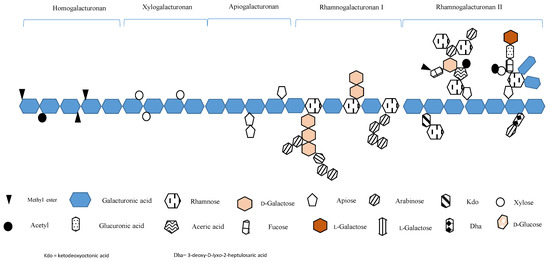 Extraction, Characterization, and Applications of Pectins from Plant By ...