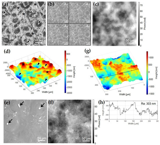 In Situ Metrology for Pad Surface Monitoring in CMP Using a Common-Path ...