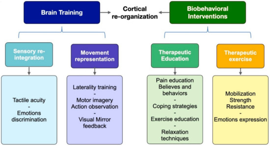 Assessment and Brain Training of Patients Experiencing Head and Facial ...
