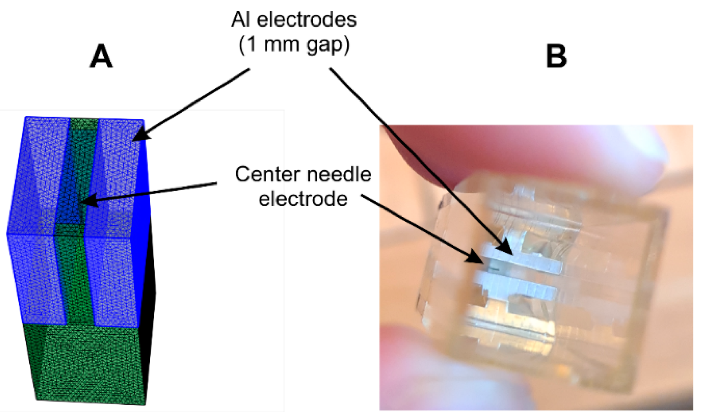 Dielectrophoretic Manipulation of Cell Transfection Efficiency during ...