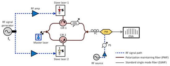 Optical Frequency Comb Expansion Using Mutually Injection-Locked Gain-Switched Lasers