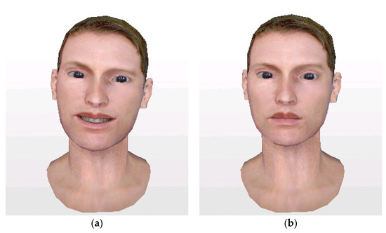 Applied Sciences | Free Full-Text | Social Responses to Virtual Humans ...