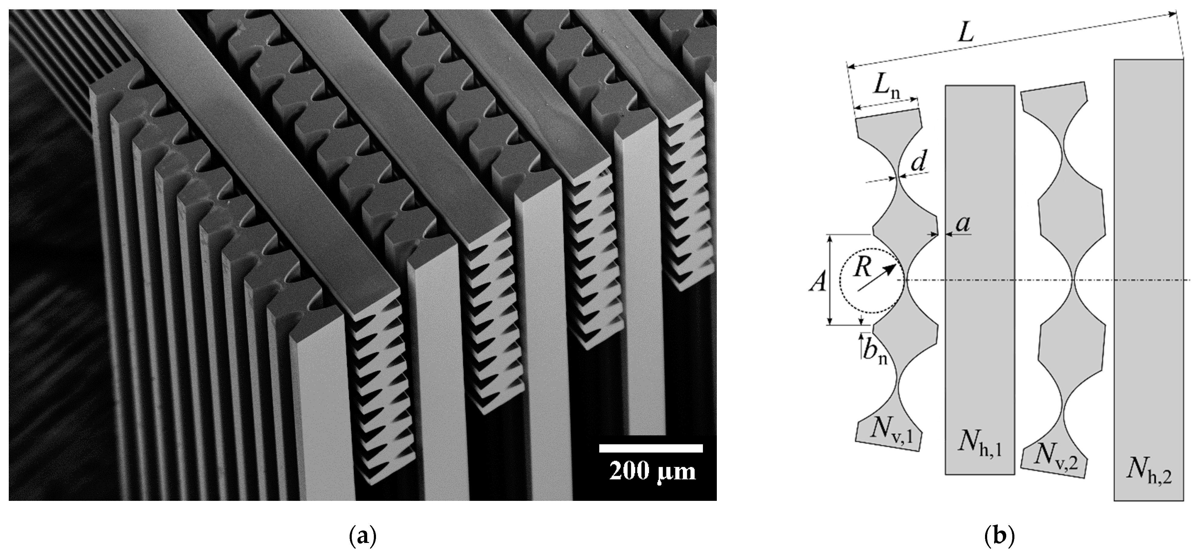 Multi-Lens Array Full-Field X-ray Microscopy