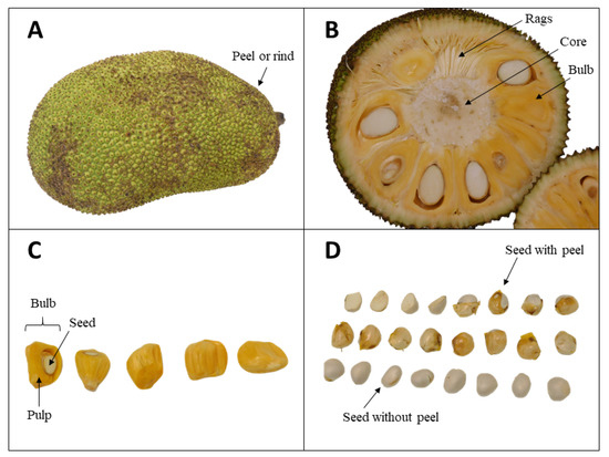 Application of Conventional and Non-Conventional Extraction Methods to ...