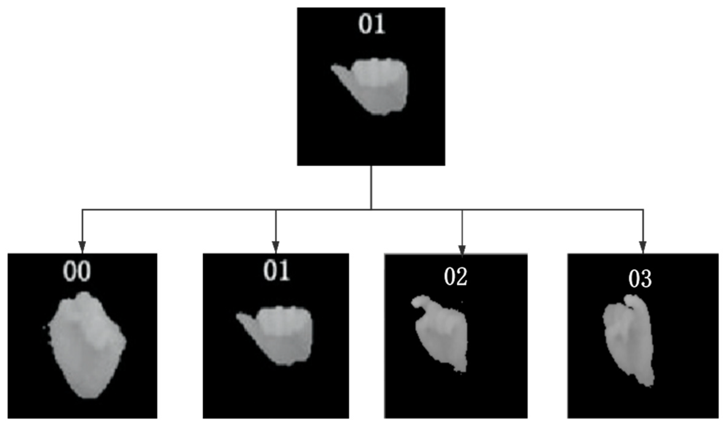 An Intelligent Error Correction Algorithm for Elderly Care Robots