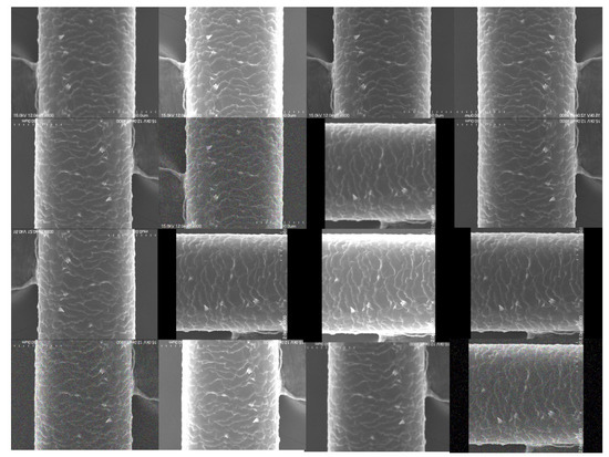 Efficient Hair Damage Detection Using SEM Images Based on Convolutional ...