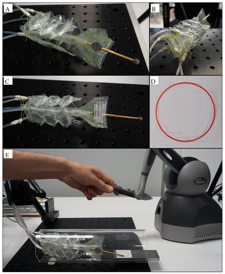 Applied Sciences | Special Issue : Biomedical Applications of Soft Robotics