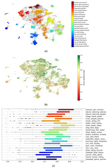 Topic-Oriented Text Features Can Match Visual Deep Models of Video Memorability