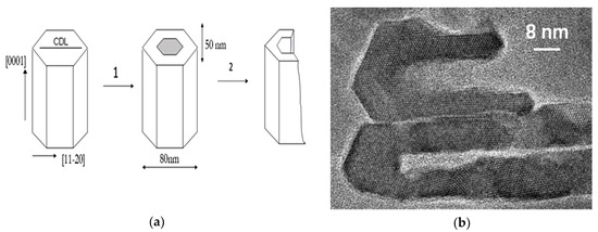 High Resolution STEM Images of the Human Tooth Enamel Crystals