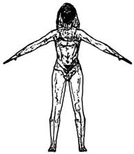 Line Drawing Extraction from Cartoons Using a Conditional Generative Adversarial Network