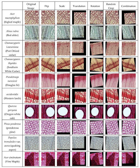 Multi-Fusion Approach for Wood Microscopic Images Identification Based ...
