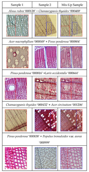 Multi-Fusion Approach for Wood Microscopic Images Identification Based ...