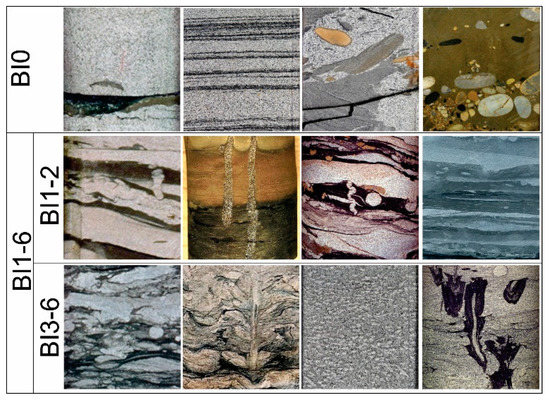 Deep Learning Applications in Geosciences: Insights into Ichnological ...