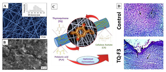 Recent Advances in Cellulose-Based Structures as the Wound-Healing ...