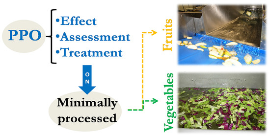Applied Sciences | Free Full-Text | Polyphenoloxidase (PPO): Effect ...