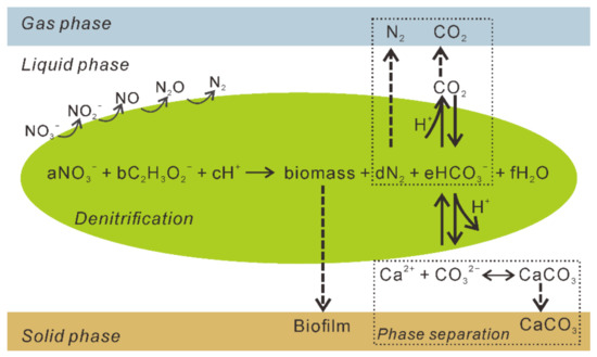 Microbially Induced Desaturation and Carbonate Precipitation through ...